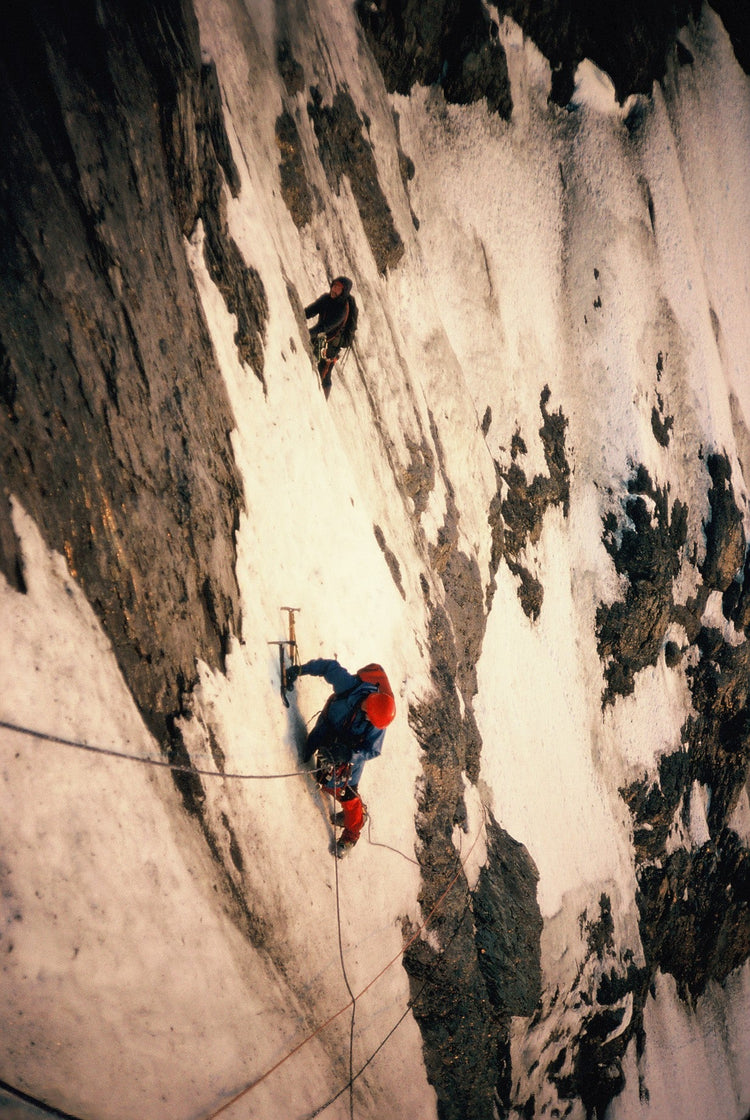 2015 Part 2 by Jerry Gore | News | Lifesystems