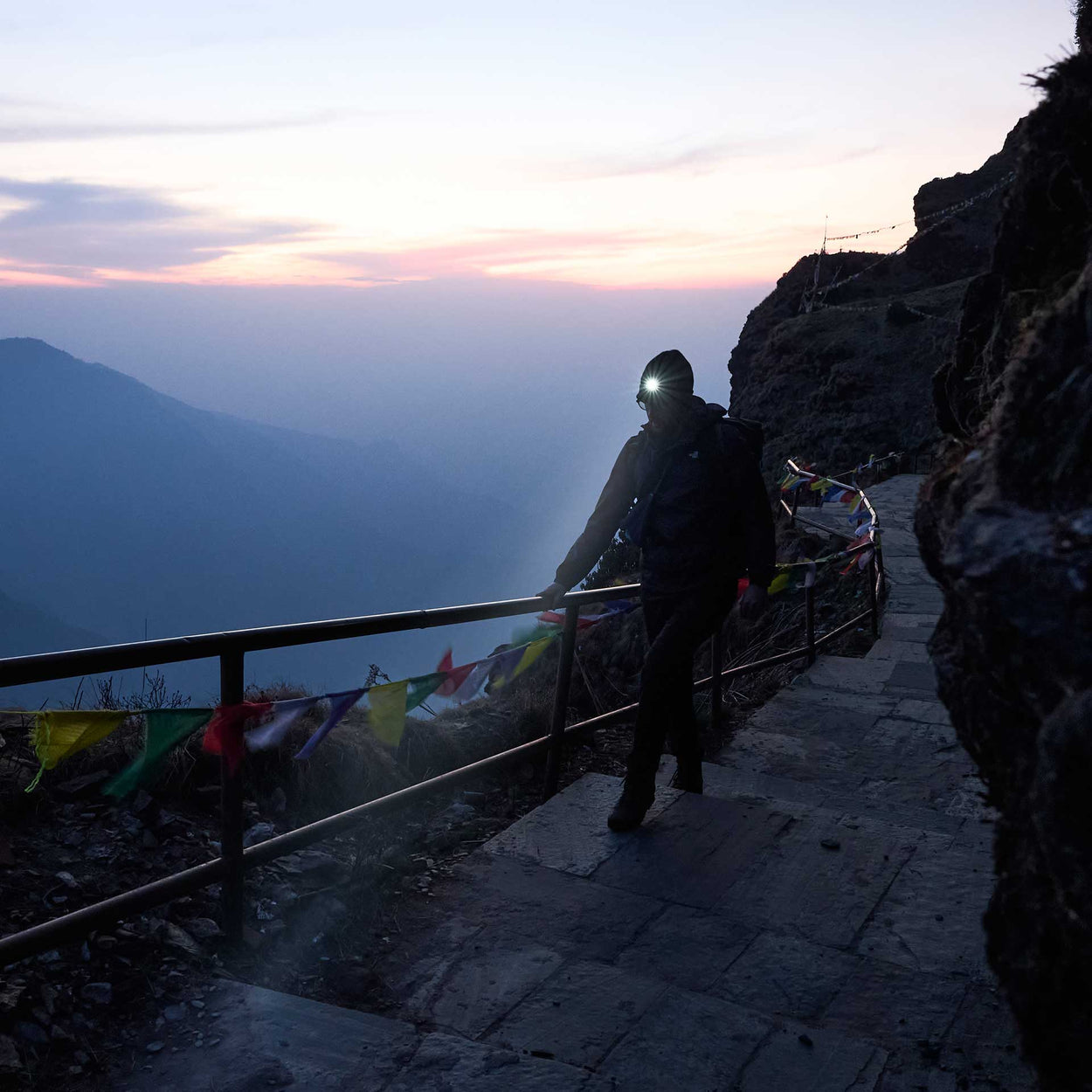 Torches | Head Torches | Lifesystems